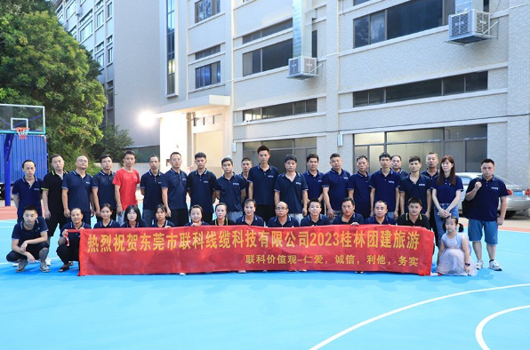 China Linke Cable Technology (DongGuan) CO.,LTD company profile
